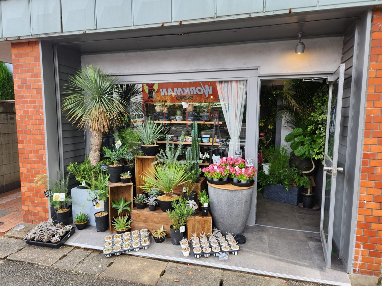 植物が主役の漆喰空間「NAGi.Plants&Flowers」 | 【公式】漆喰うま～くヌレール